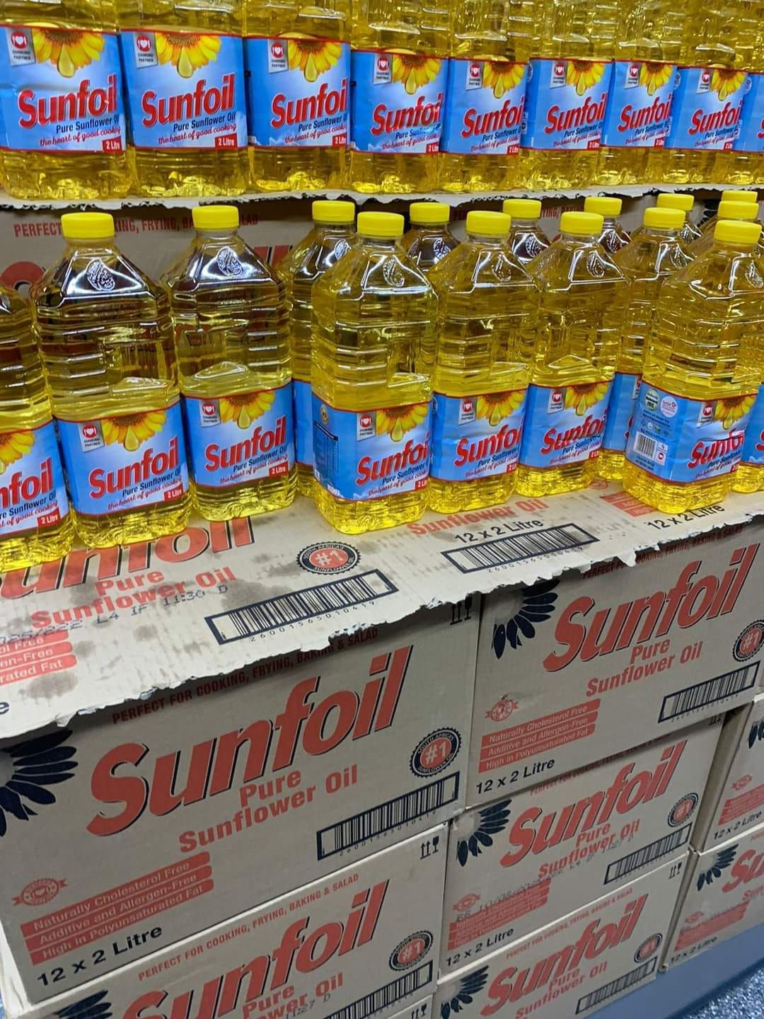Buy Sunfoil For Sale from AFRICA ASPIDUS COMMODITY TRADERS, South ...