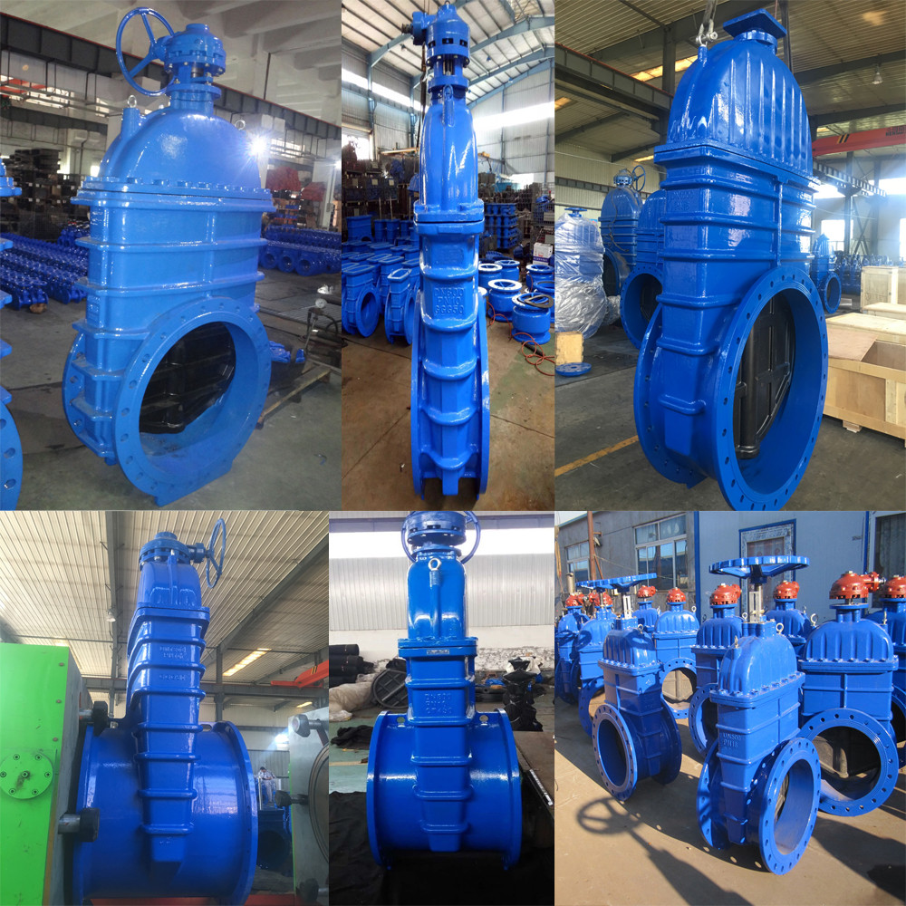 Buy Cast Iron/ductile Iron Resilient Seated Gate Valve,gate Valve Dn ...