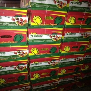 Buy Fresh Capsicum With High Quality from FOODEX COMPANY FOR IMPORT AND ...