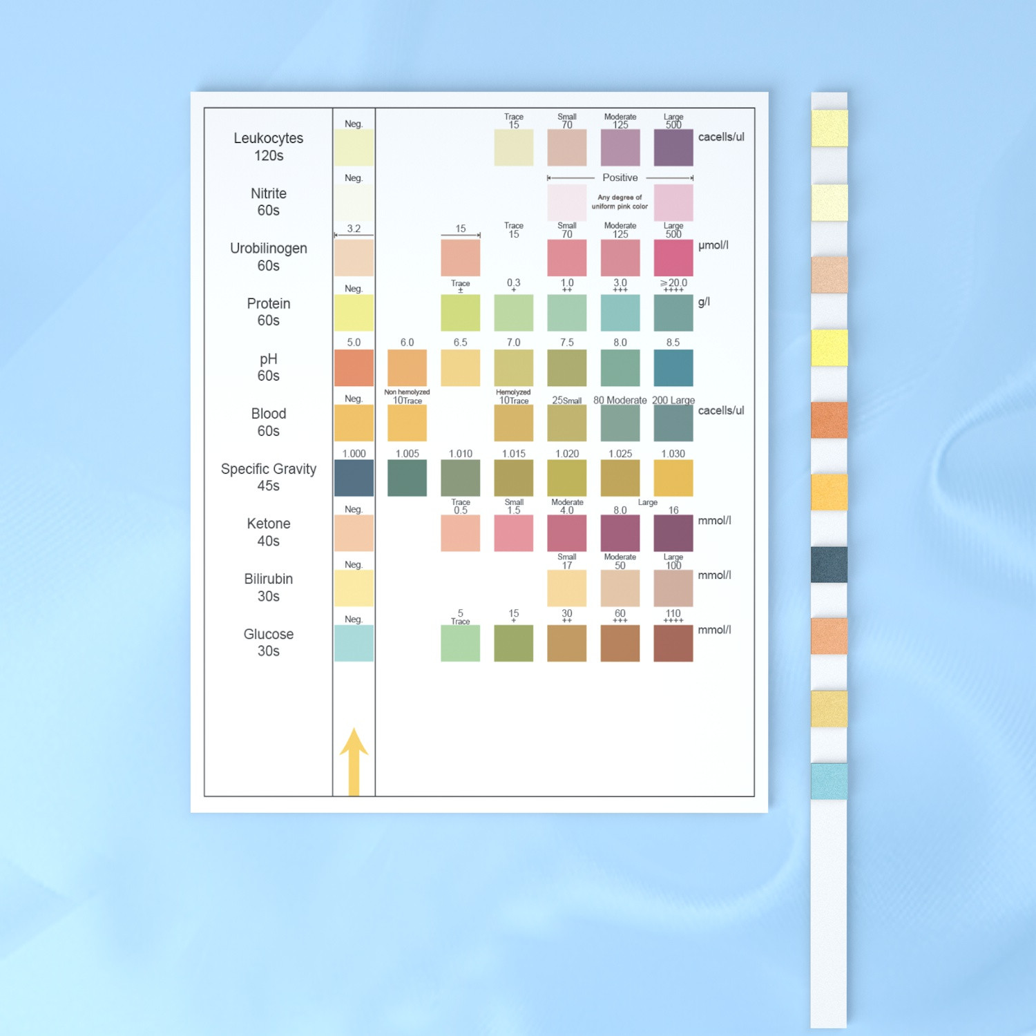 Buy Urine Test Strips Color Chart Urine Test 10 Parameters Paper from ...