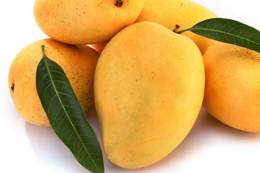 Buy Francisque from CGF International Inc., Canada | Tradewheel.com