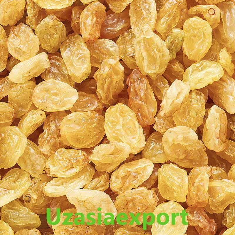 Buy Golden Raisins/sultanas from IT EXPORT ASEAN LLC, Uzbekistan ...