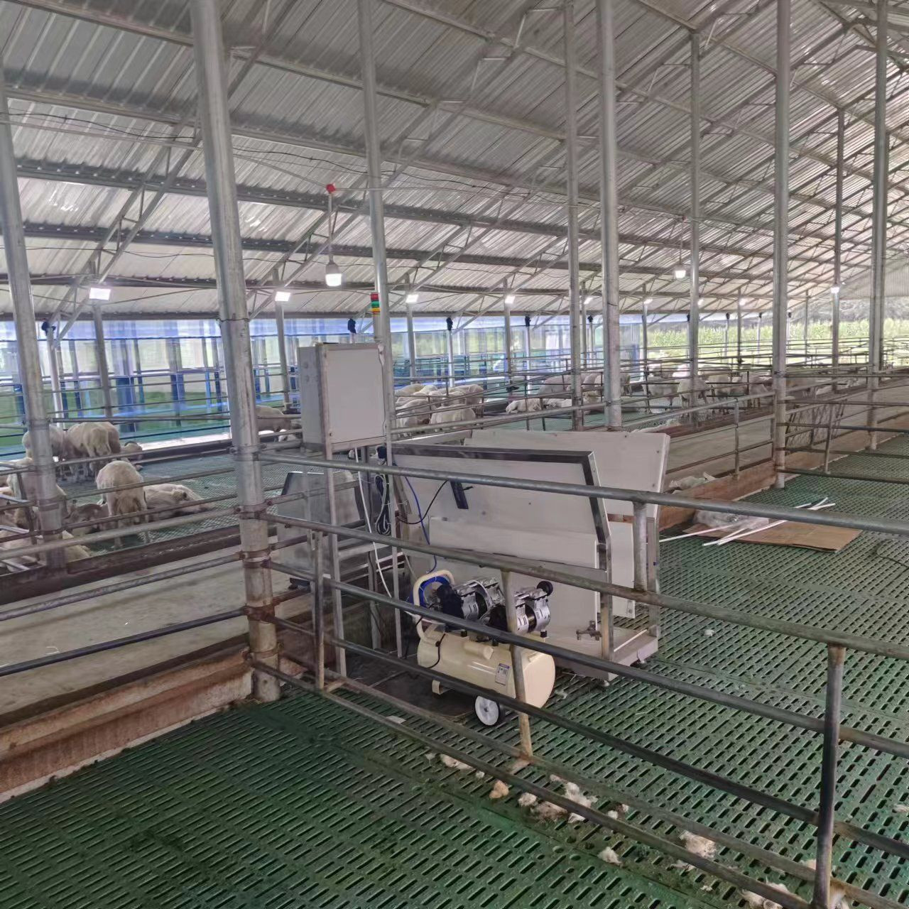Buy Sheep Performance Measurement Station from Zhengzhou Bangmao ...