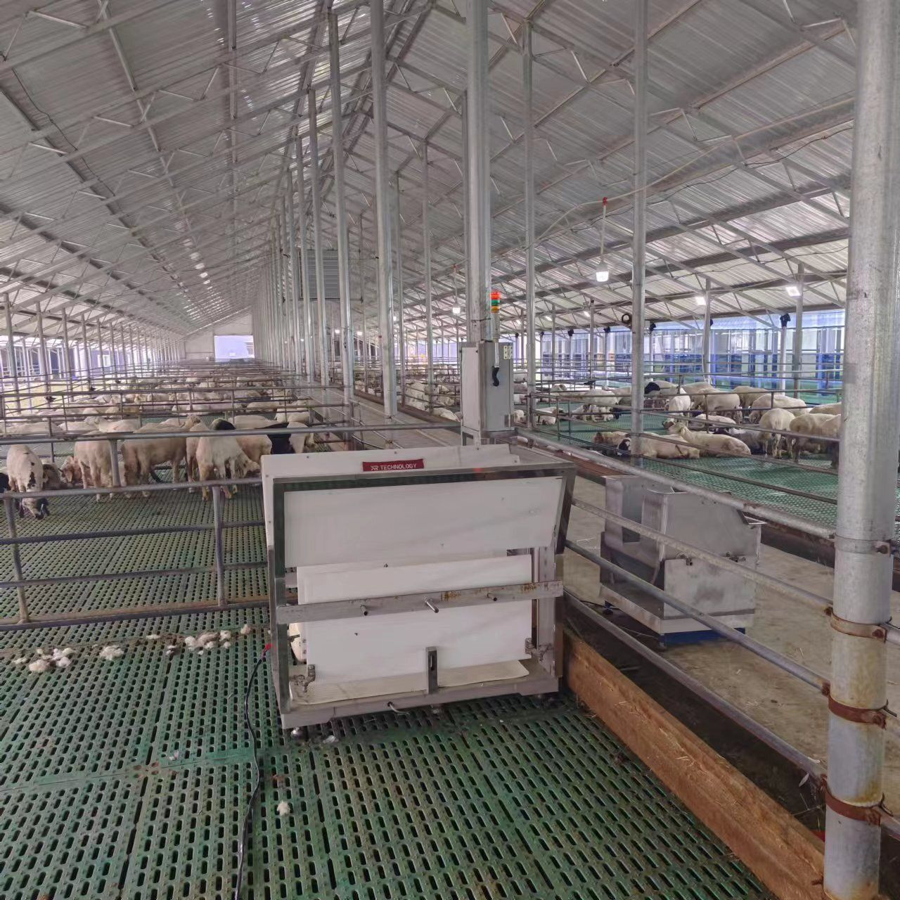 Buy Sheep Performance Measurement Station from Zhengzhou Bangmao ...