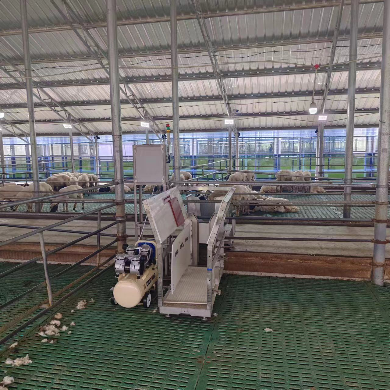 Buy Sheep Performance Measurement Station from Zhengzhou Bangmao ...
