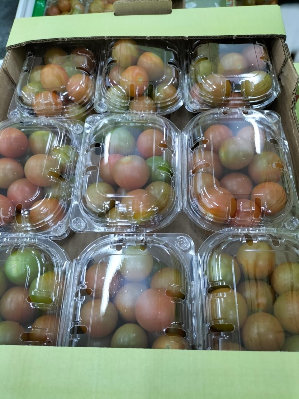 Buy Cherry Tomatoes from Expert For Export Services, Egypt | Tradewheel.com