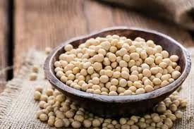 soya beans fresh
