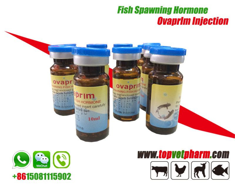 Buy Fish Farming Hormone Fish Hormone Ovulin Injection Fish Breeding ...