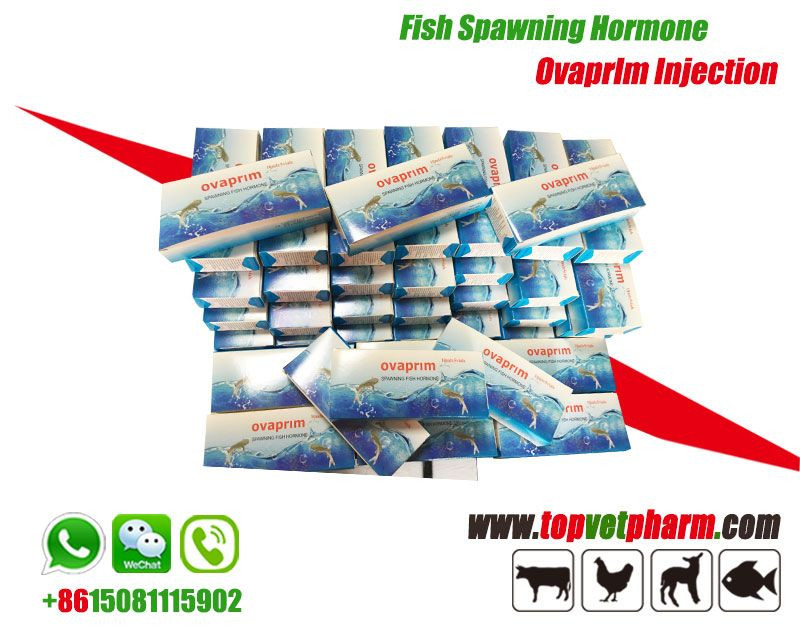 Buy Fish Farming Hormone Fish Hormone Ovulin Injection Fish Breeding ...
