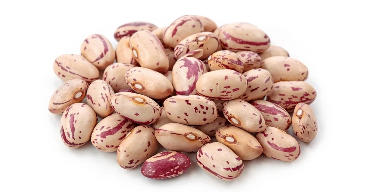 Buy Sugar Beans from SCRUM CONTRACTORS AND GENERAL SUPPLIES LIMITED ...