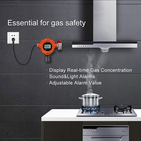 Buy Atex H2s Hydrogen Sulfide Gas Alarm Detector Explosion Proof Gas ...