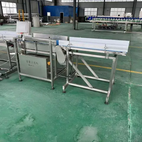 Buy Automatic Grades Weighing Sorter Oyster Sea Cucumber Fish Sorting ...
