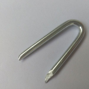 Buy Galvanized Fence Staple U-type Nail With Best Price From Linyi ...