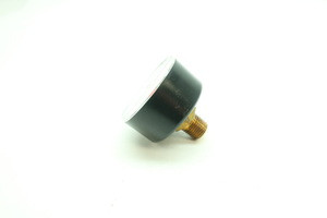 Buy New Fisher 11b8579x022 Npt 0-30psi 2in 1/4in Pressure Gauge from ...