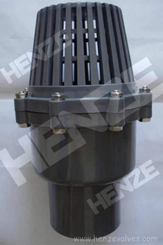 Buy Plastic Upvc, Cpvc, Pph, Pvdf, Frpp Plastic Threaded Foot Valve from Henze Valves ...