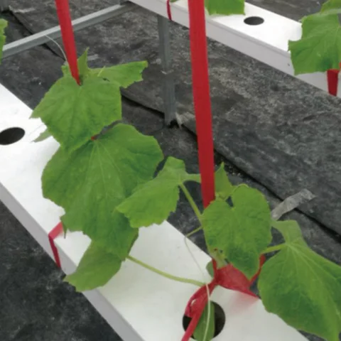 Buy Small Garden Pvc Pipe Nft Channel Grow System Home Hydroponics from ...