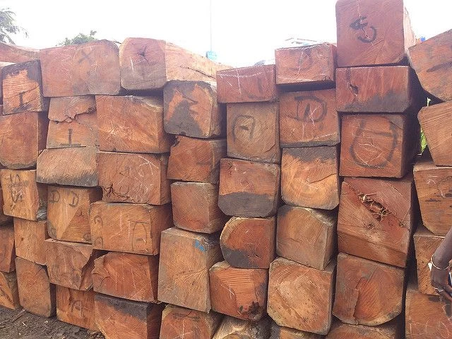 Buy Kosso Wood, Round Logs, Sawn Square Logs from G import Export ...