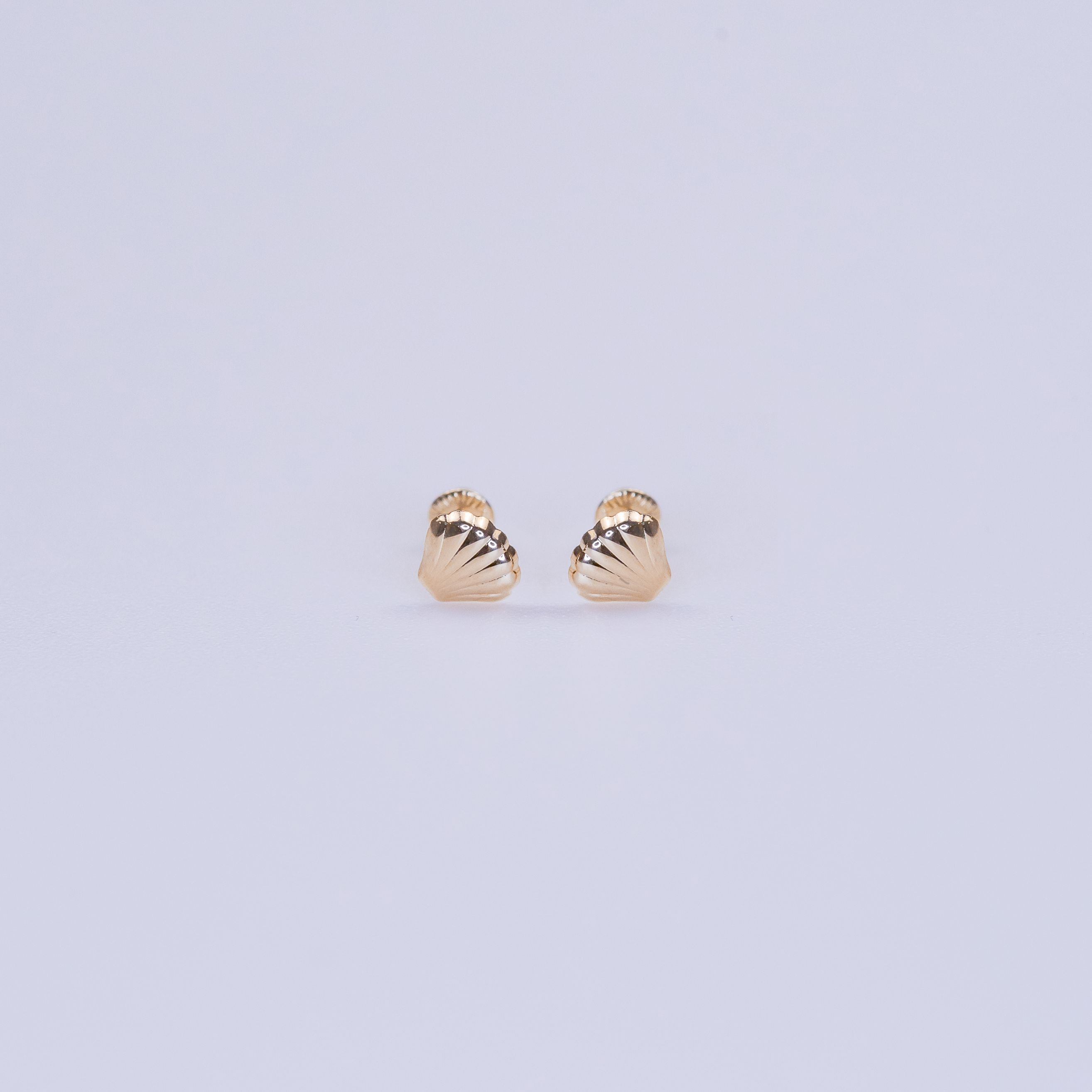 Buy Shell Studs from See Sea, USA | Tradewheel.com