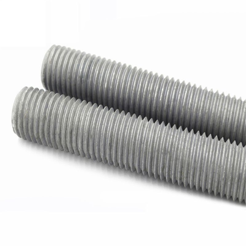 Buy Sally from Company - Sally, China | Tradewheel.com