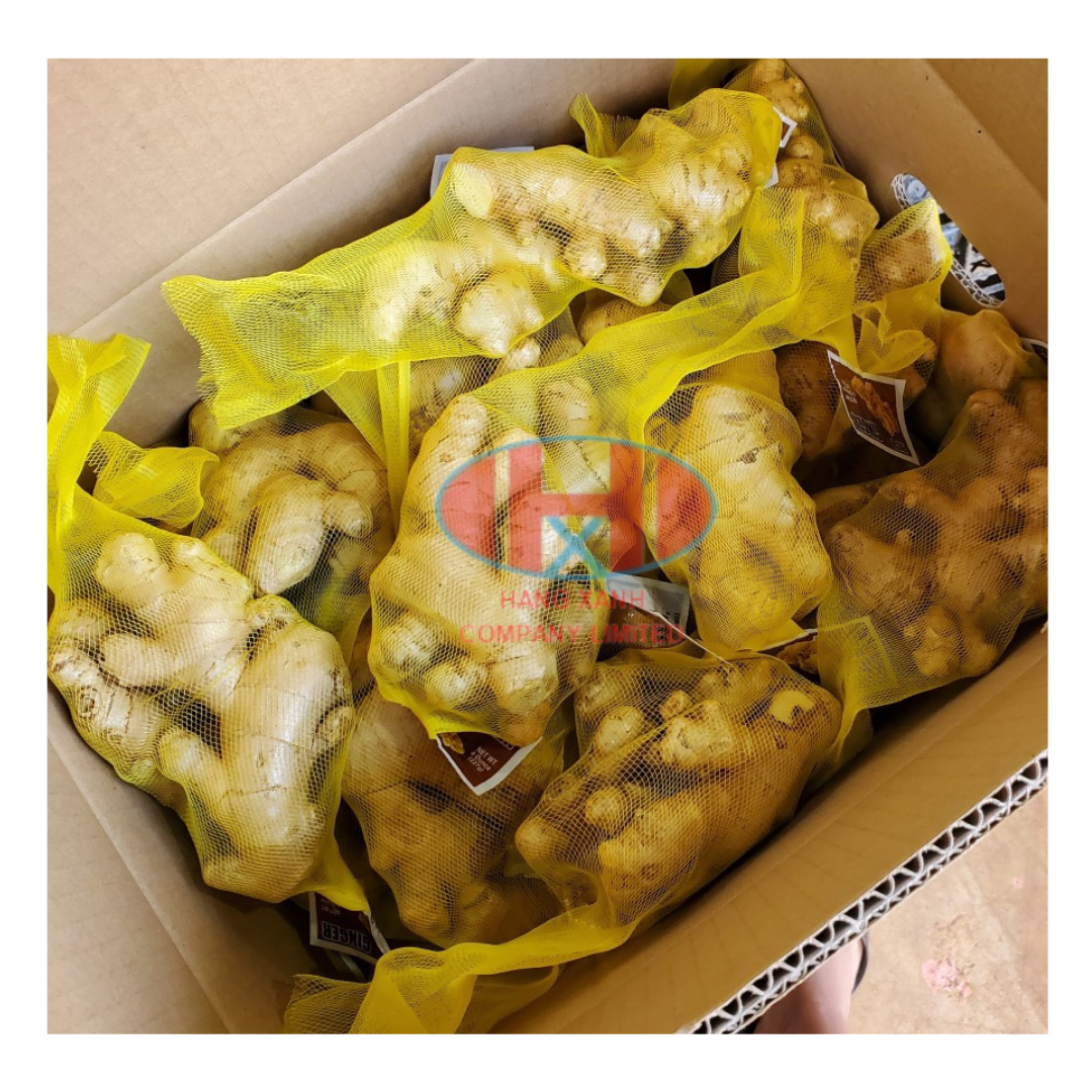 Buy High Quality Fresh Ginger From Vietnam 2023 Fresh Ginger Export ...