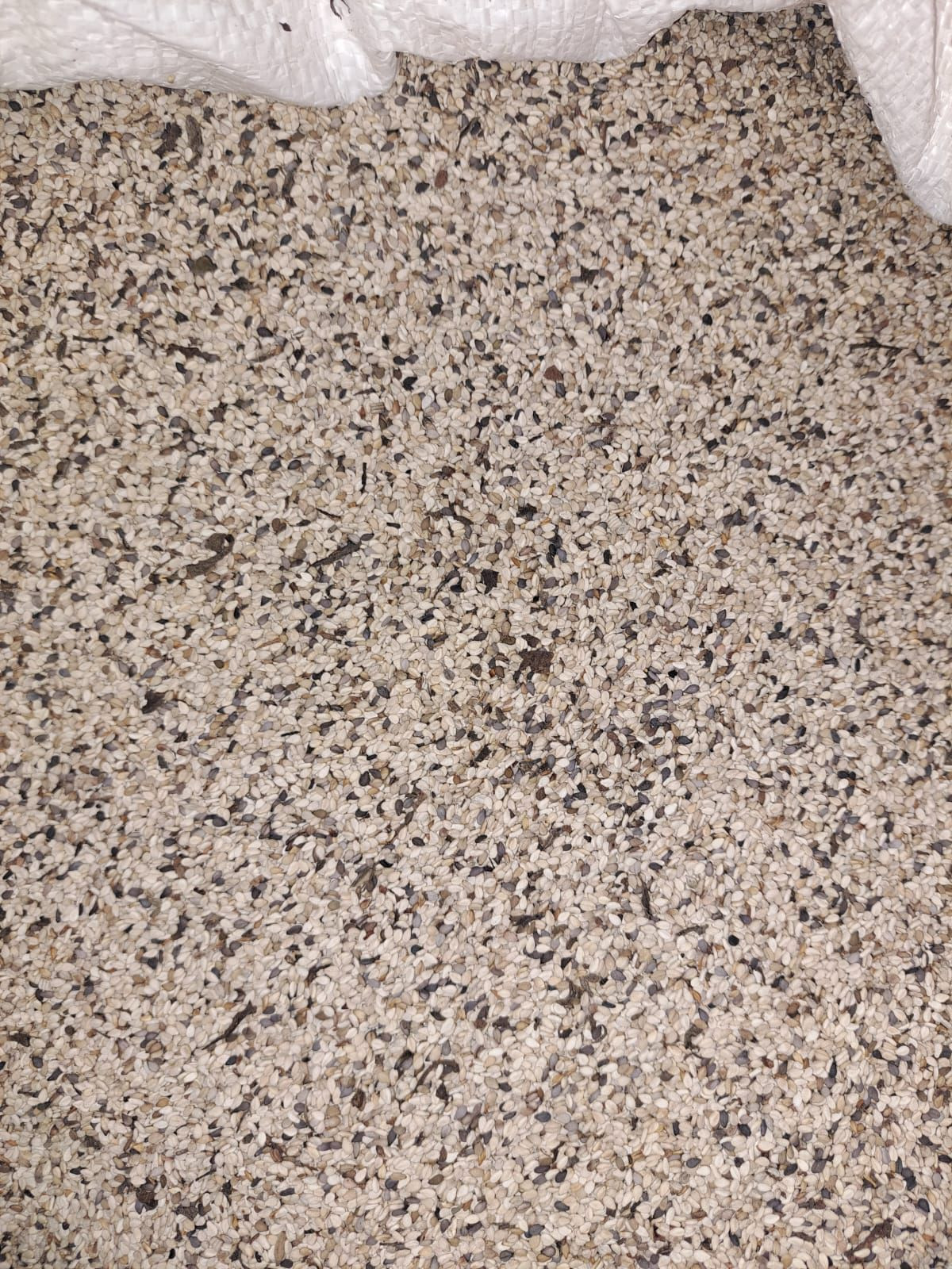 Buy Sesame from MIDOS TRADE, United Arab Emirates | Tradewheel.com