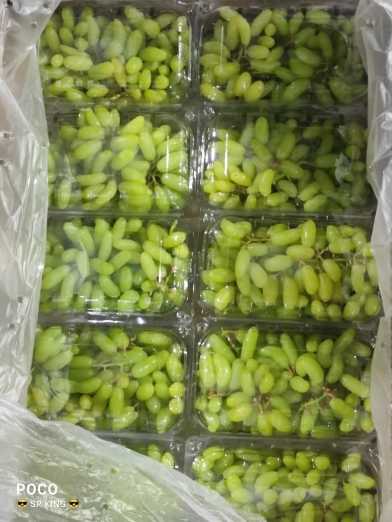Buy Fresh Grapes from Unity Overseas, Hong Kong | Tradewheel.com