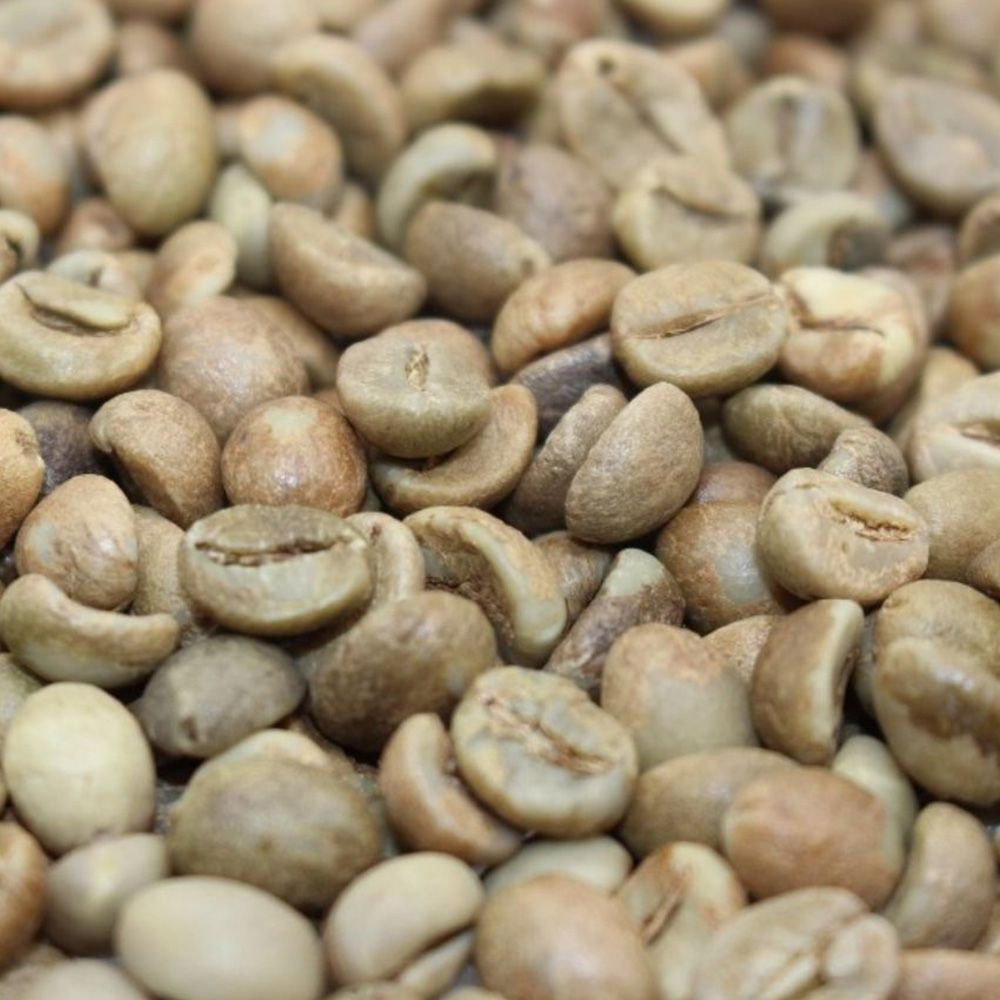 Buy Vietnam Robusta Green Coffee Beans S16 from Lien and Alliance Co ...