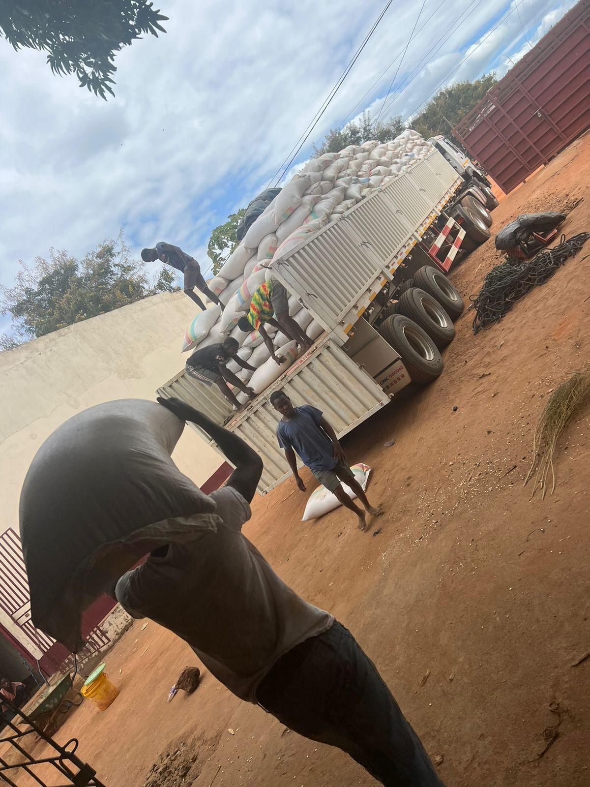 Buy Sesame from MIDOS TRADE, United Arab Emirates | Tradewheel.com