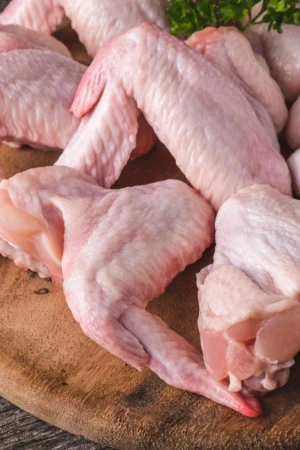 Buy Processed Chicken Wings Grade 1, Halal Certified Chicken Wings ...