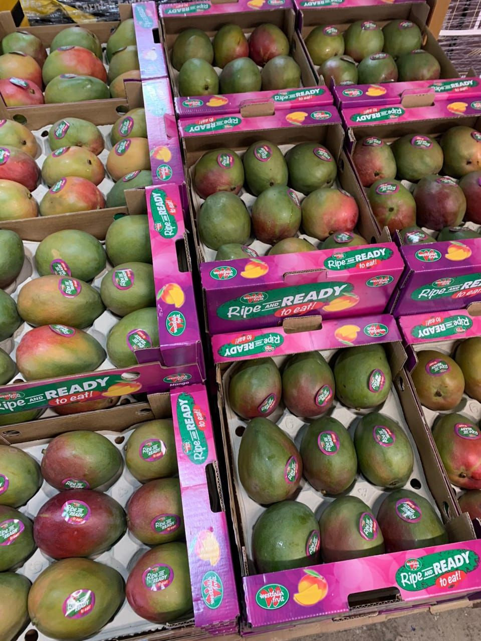Buy Mango from FAIR GROUP, Egypt | Tradewheel.com