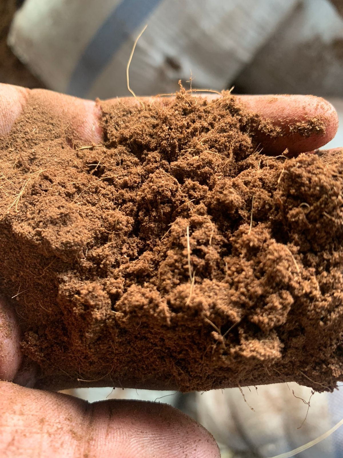 Buy Coconut Dust from Coconut Fructus Indonesia, Indonesia | Tradewheel.com