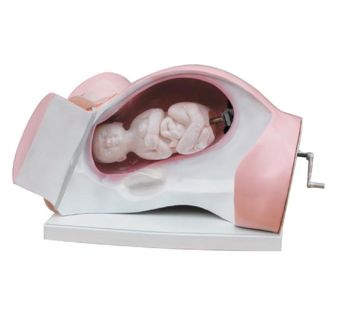 Buy Advanced Children Birth Midwifery Training Simulator Doll For ...