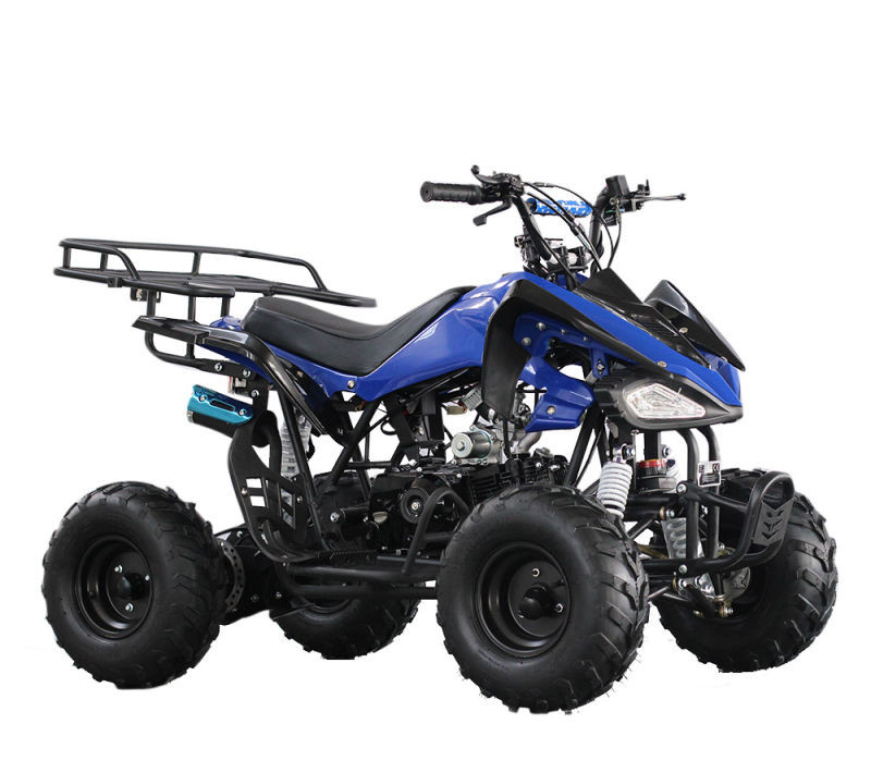 Buy Ce 2020 110cc Atv Quad Bikes 110cc Atv 4x4 Quad from Wuyi Xumao ...