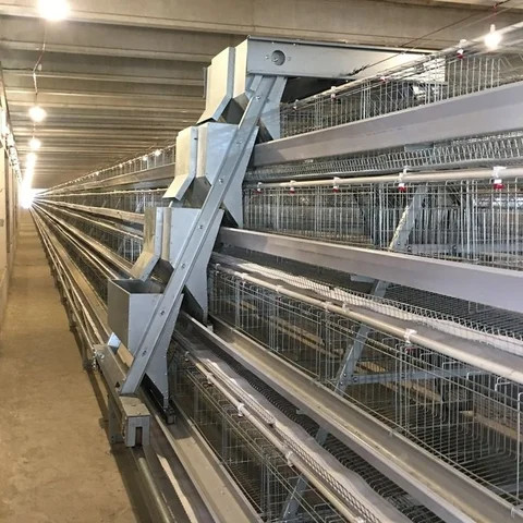 Buy Complete Pullets Rearing Animal A Layer-type Cages System Poultry ...