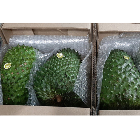 Buy Fresh Soursop Guanabana Fruit With Juicy And Gelatinous White Pulp ...