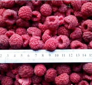 Buy Frozen Iqf Raspberry Whole New Crop Frozen Raspberry Fruit from ...