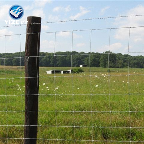 Buy Galvanized Chicken Wire Mesh Fence/cattle Fence Wire Export To ...