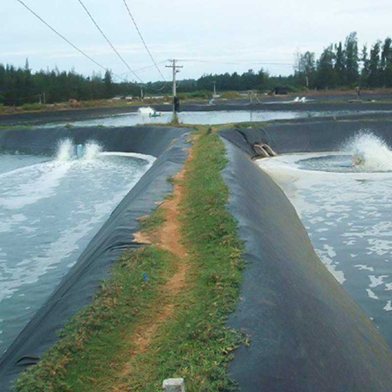 Buy Hdpe Sheet Plastic Water Dams Liner High Density Polyethylene Pond ...