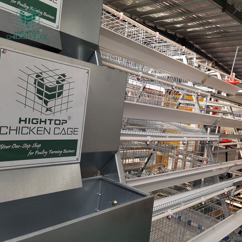 Buy Hightop Automatic Egg Layer Chicken House Automatic Galvanized ...
