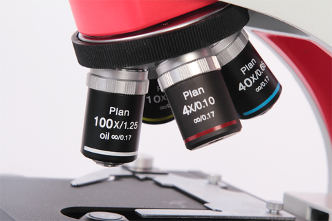 Buy Phenix Professional Bmc512-ipl Educational Biological Microscope ...