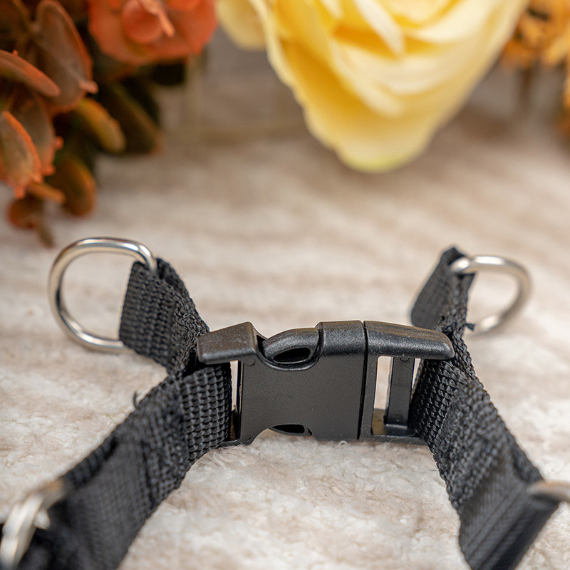 Buy Rena Pet Hot All Weather Mesh Step Colourful Knitted Fully ...