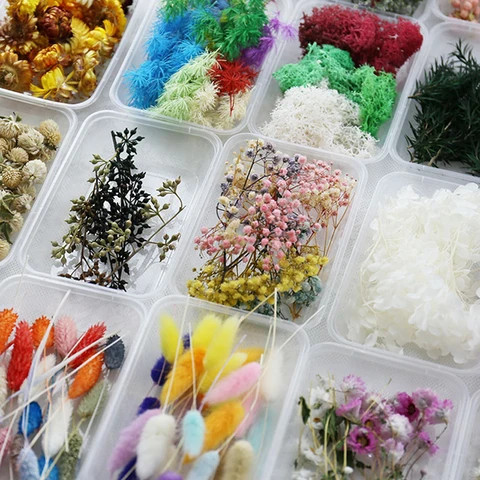 Buy Wholesale Dried Flowers Resin Jewelry Dry Plants Pressed Flowers ...