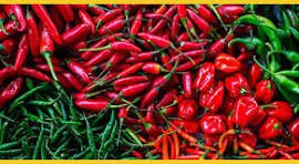 Buy African Organic Chili Pepper from ezi mama farms ltd, Nigeria ...