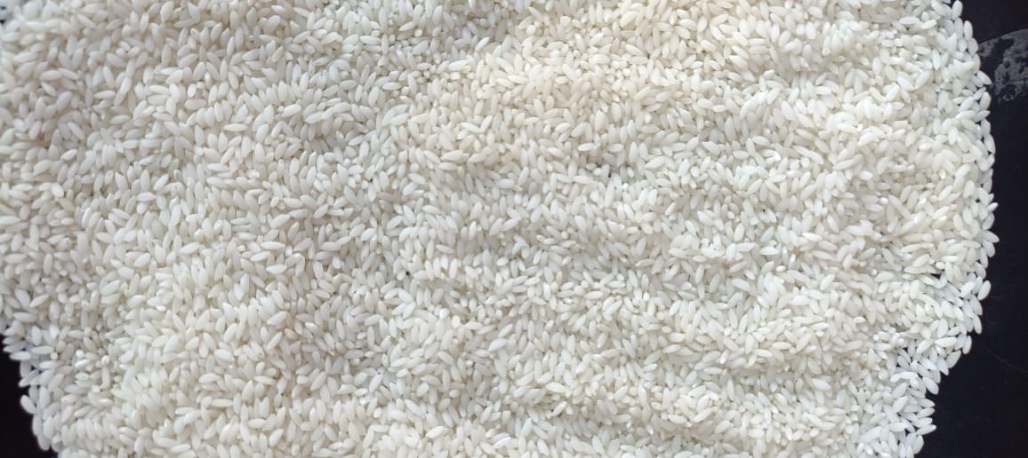 Buy Indian Rice Varieties Jeera Rice from SAR EXPORTS, India ...