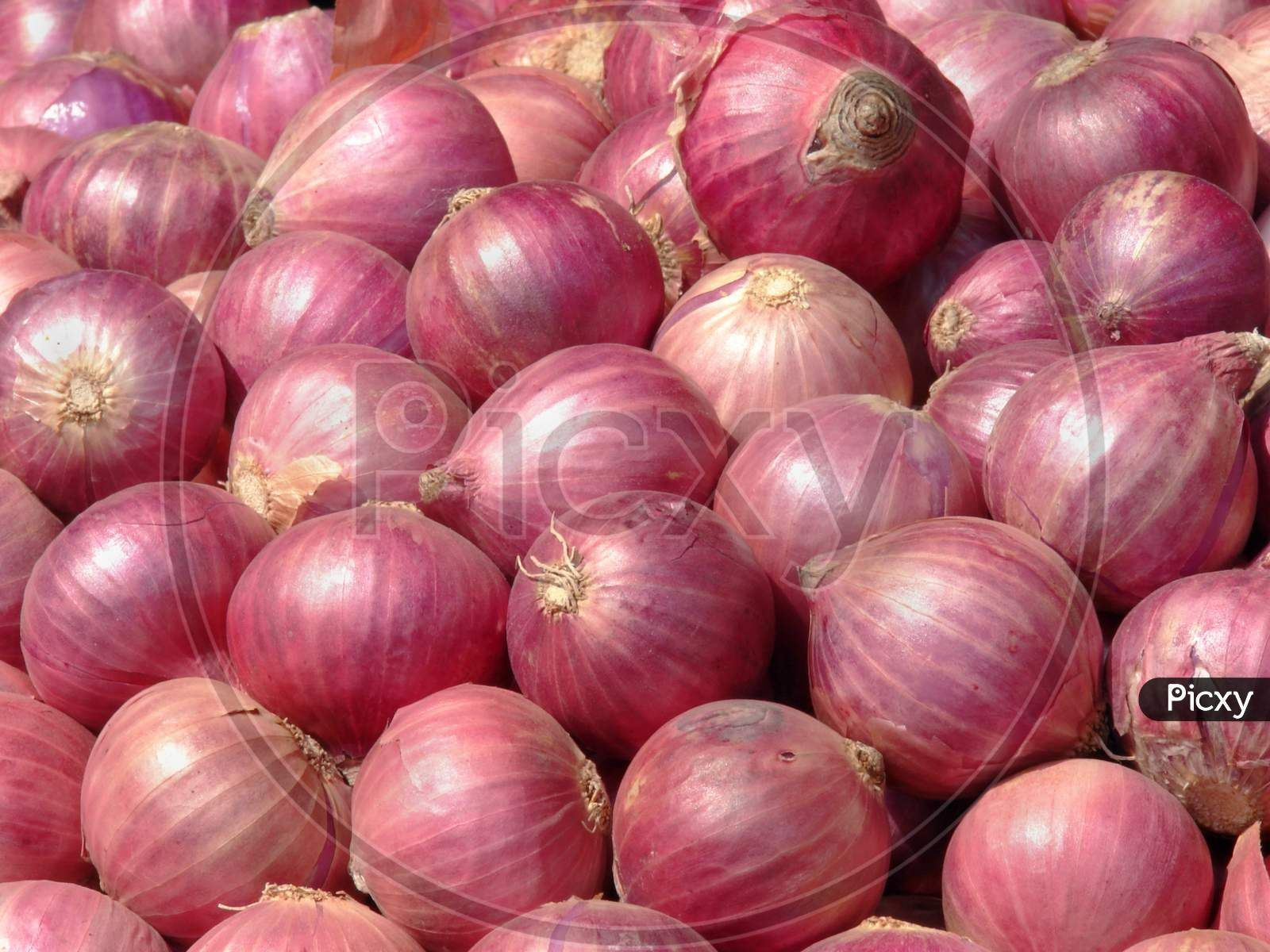 Buy Fresh Yellow And Red Onion Brown Onion Non Peeled Onion from ...