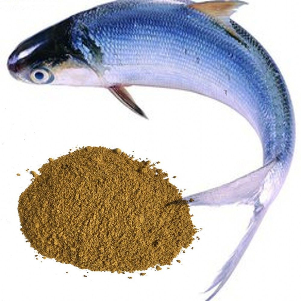 Buy Fish Meal 65% For Animal Feed Feed Grade Animal Corn Gluten Meal ...