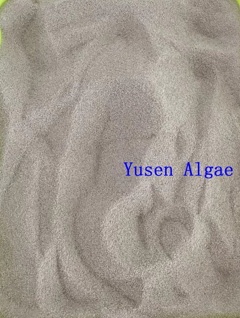 Buy Sodium Alginate from qingdao yusen algae co., ltd., China ...