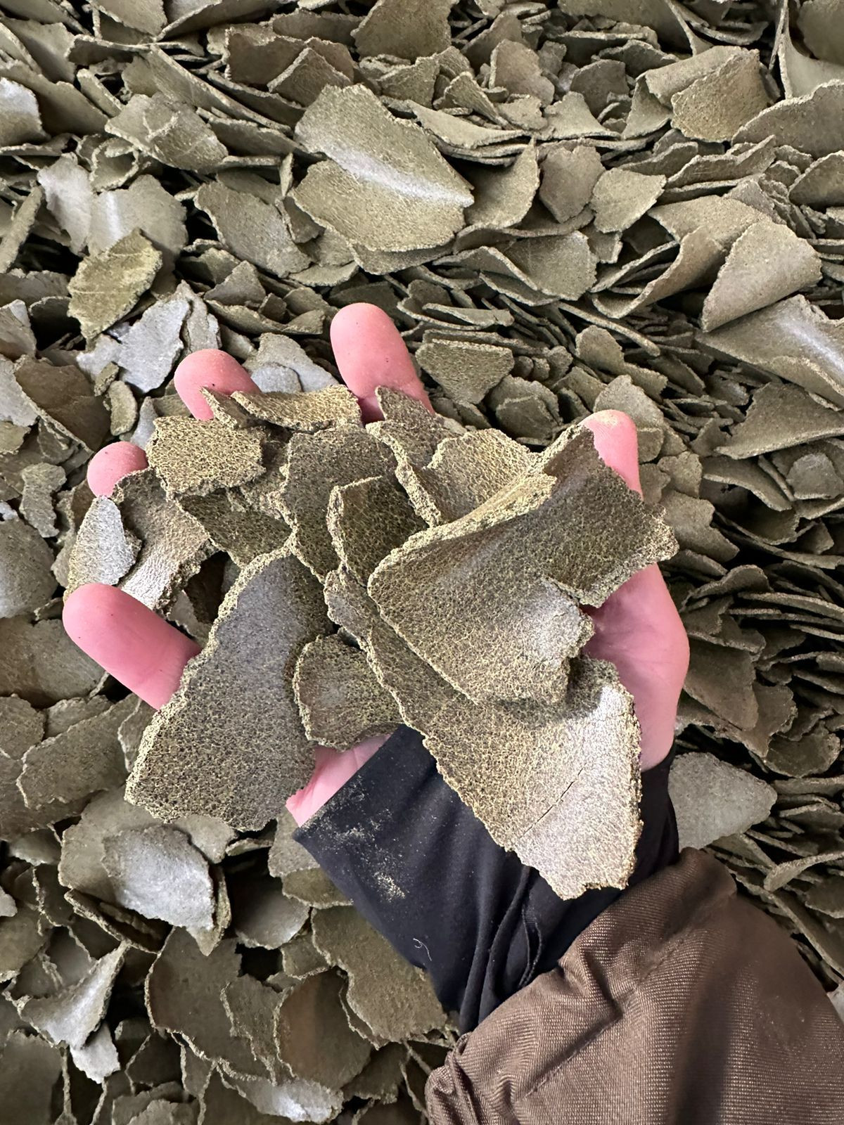 Buy Premium Rapeseed Meal – High-protein Feed, Non-gmo from Zenith ...