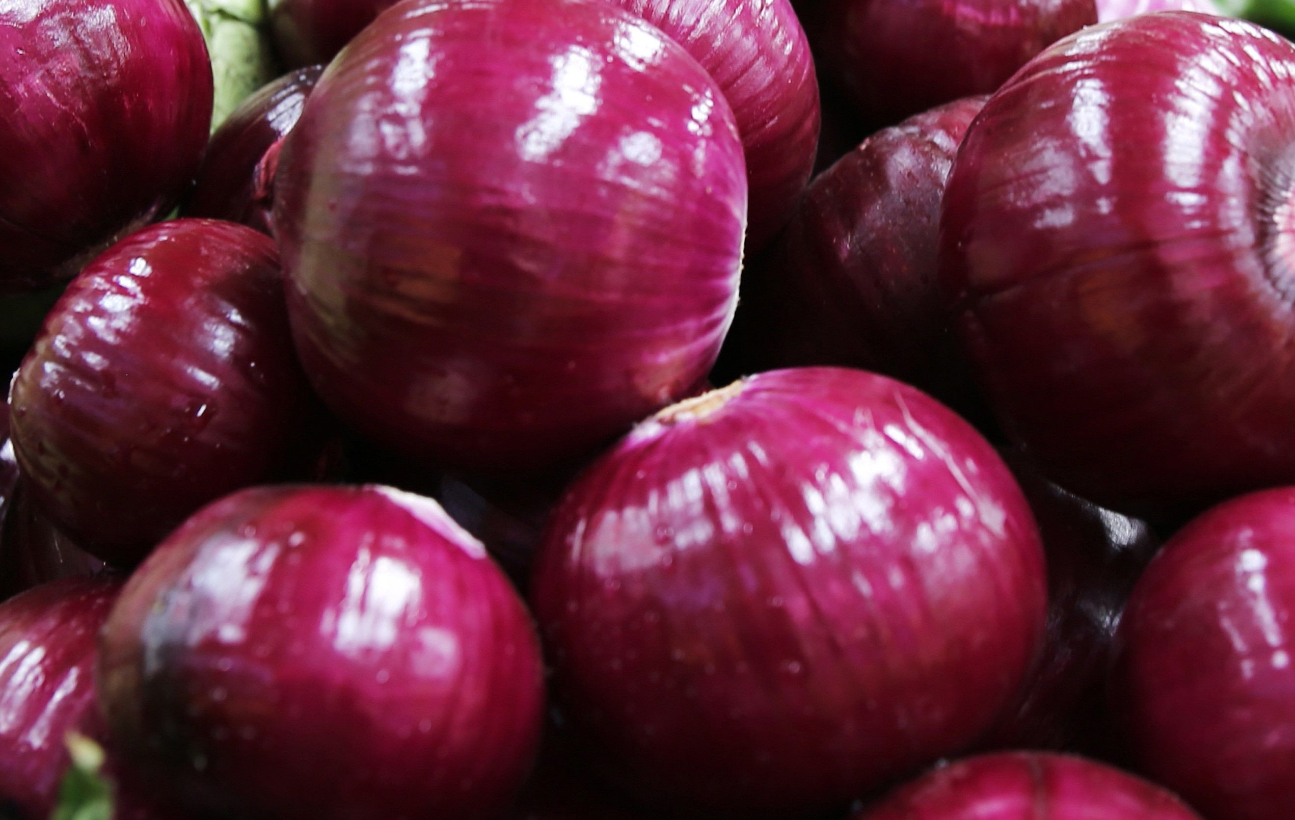 Buy Wholesale Price Fresh Onion Supplier Import Bulk Onion New Season ...