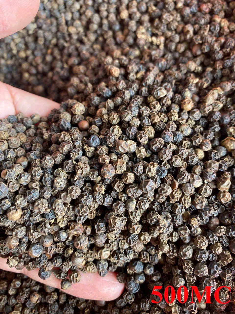 Buy New Crop Export Black Pepper Vietnam 500 550 570 Gl Bold 5mm High ...